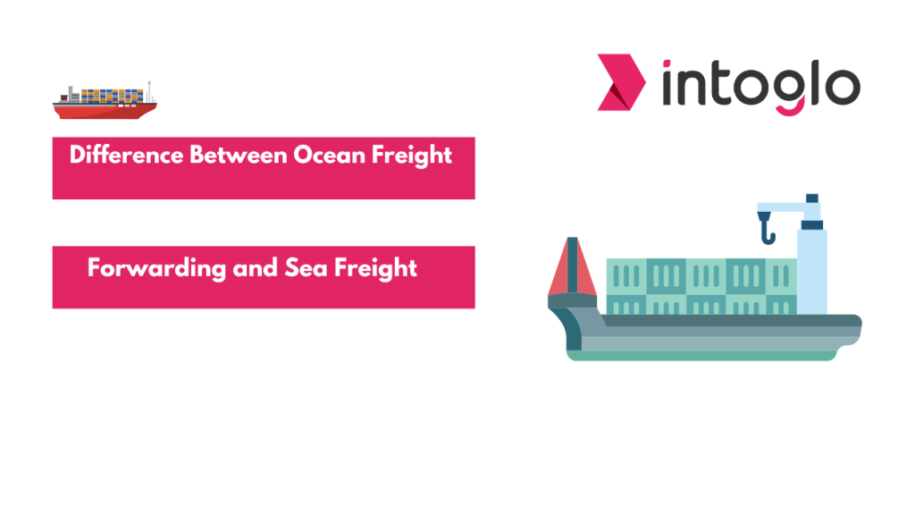 Difference Between Ocean Freight Forwarding and Sea Freight