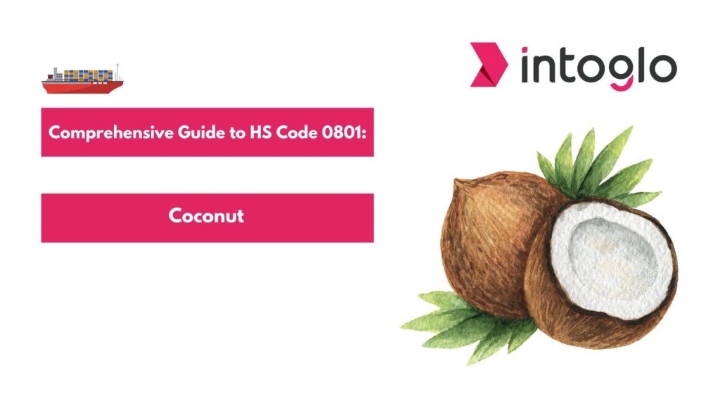 Comprehensive Guide to HS Code 0801: Coconut