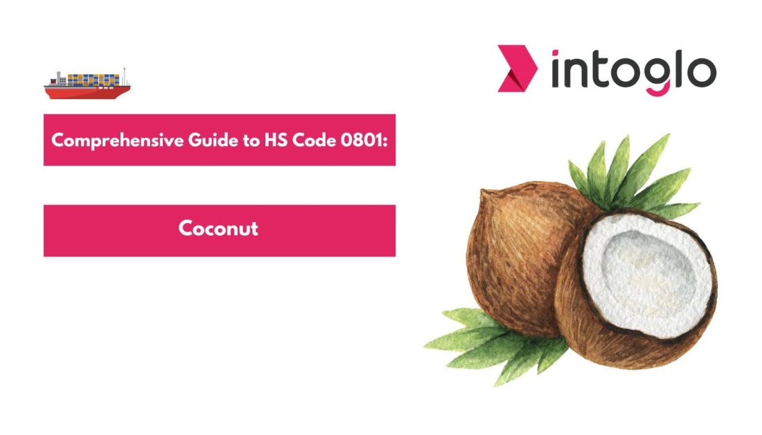 Comprehensive Guide to HS Code 0801: Coconut